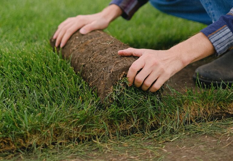When the Best Time to Lay Sod in Southern Ontario?